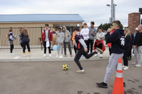 Falconer, MG, Cass. Schools To Hold Homecoming Carnival | News, Sports ...